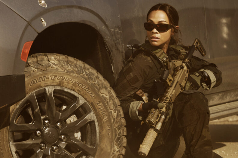 Lioness News & Updates - Sneak Peak