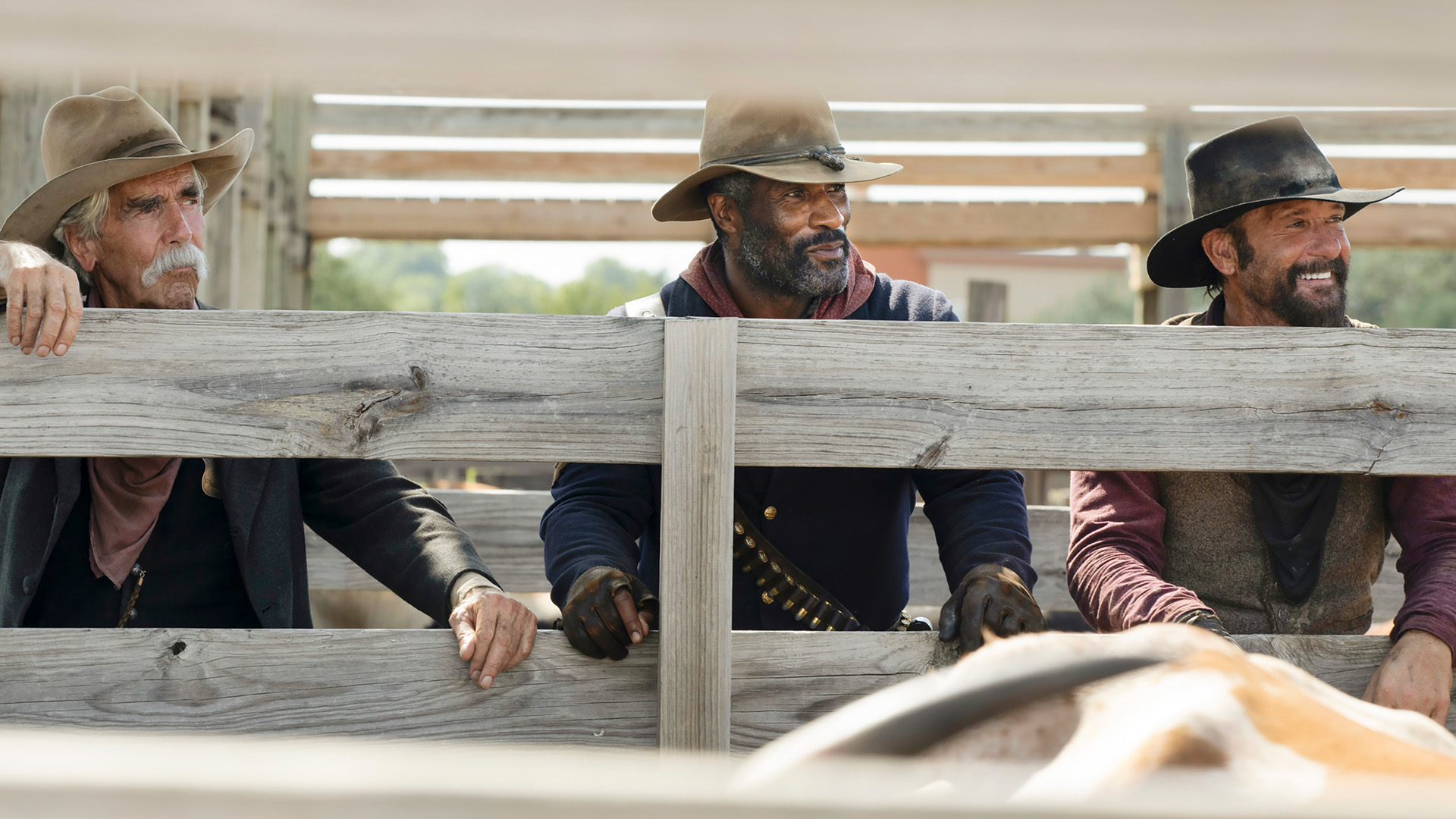 Where To Watch Taylor Sheridan Shows - Sneak Peak