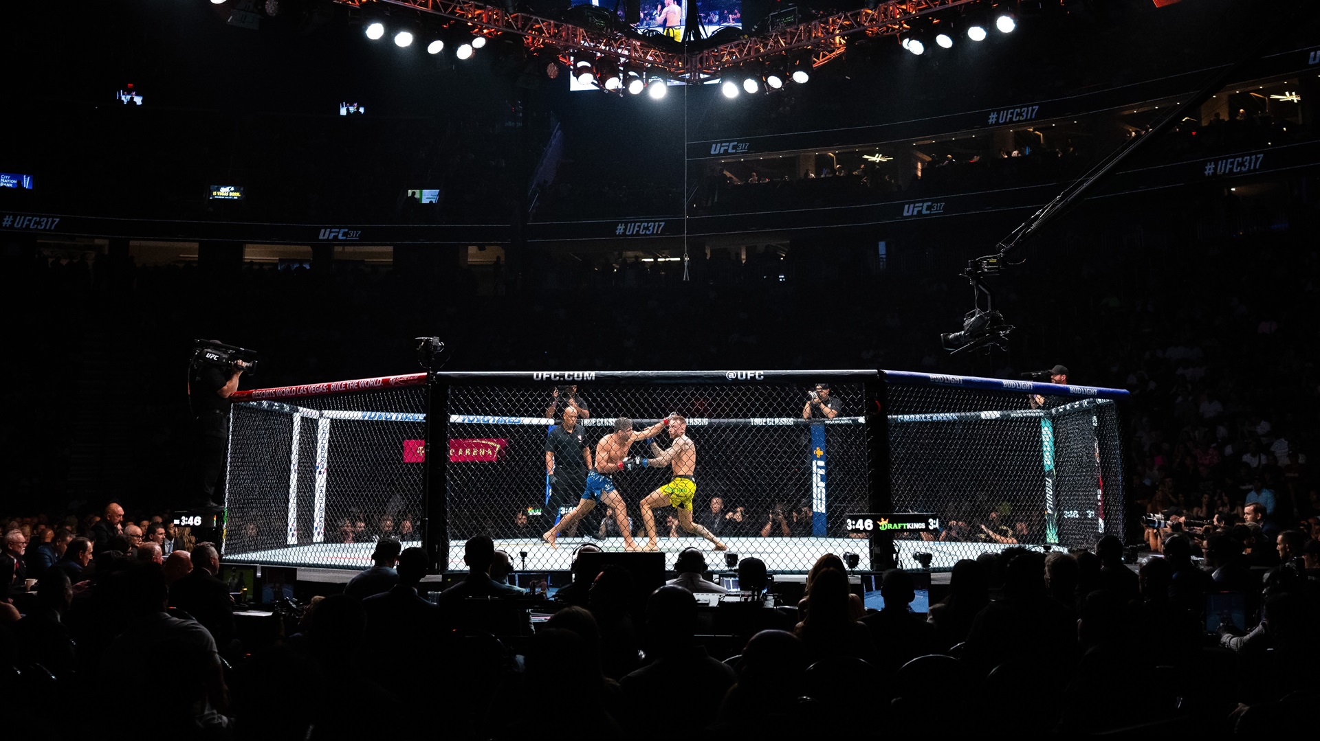 Inside The UFC Octagon®: 5 Things To Know - Sneak Peak