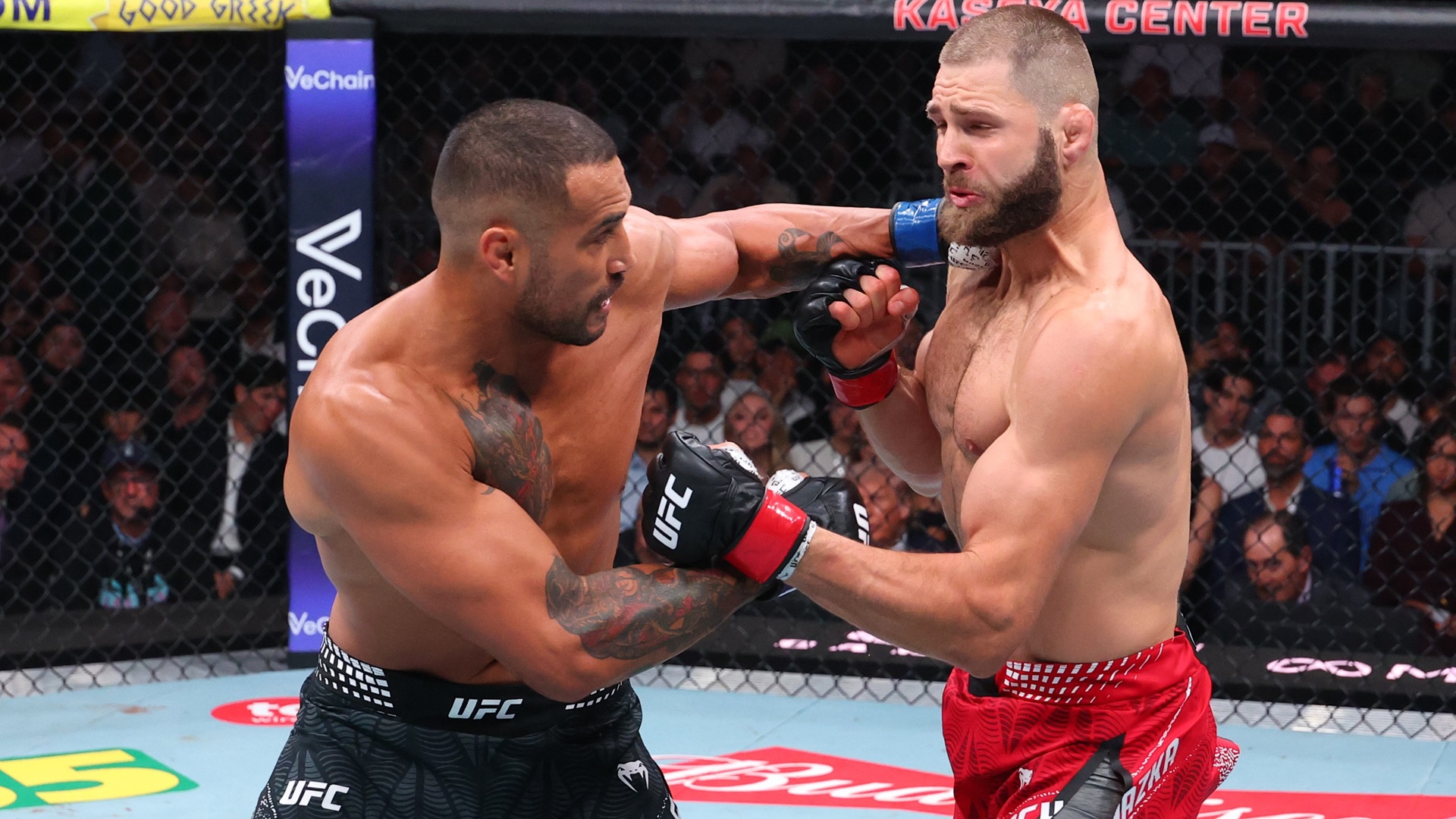 UFC 327: Procházka vs. Ulberg: Results And Highlights - Sneak Peak